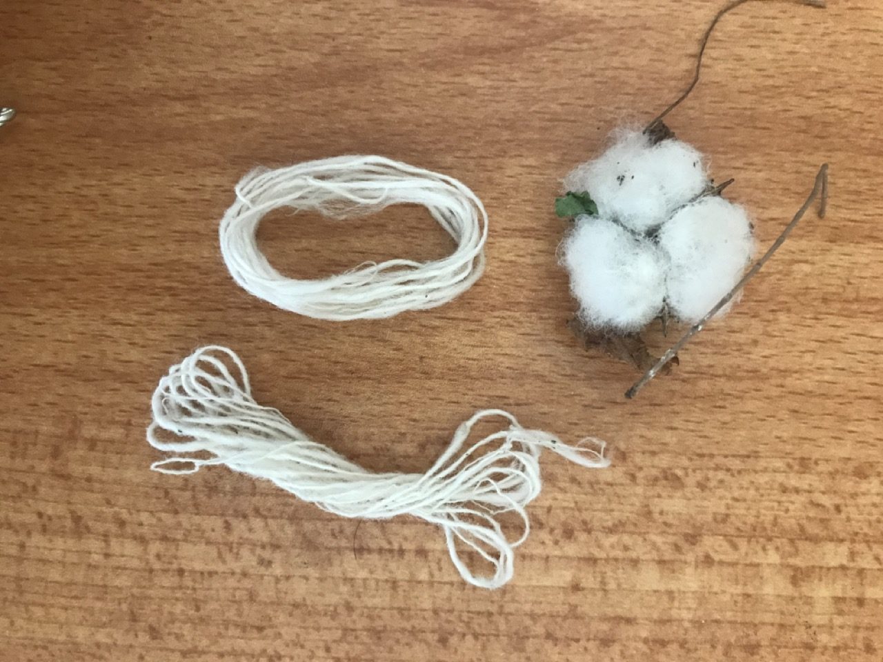 Cotton Cocoons - Dinacon 2022